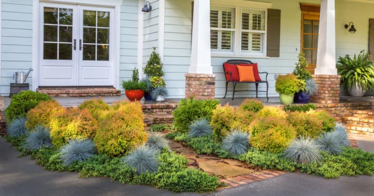 Garden Workhorse: 5 uses for Fire Chief™ Arborvitae in your landscape