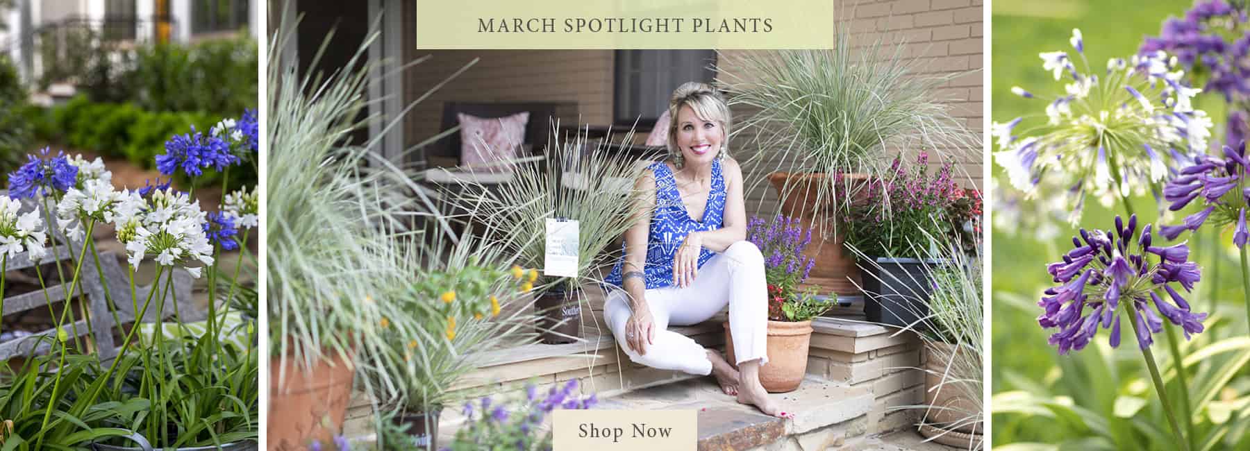 Southern Living Plants - Plants Selected For Southern Gardens