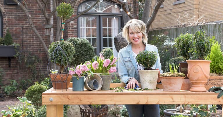 American Pie® Cherry Dianthus - Southern Living Plants