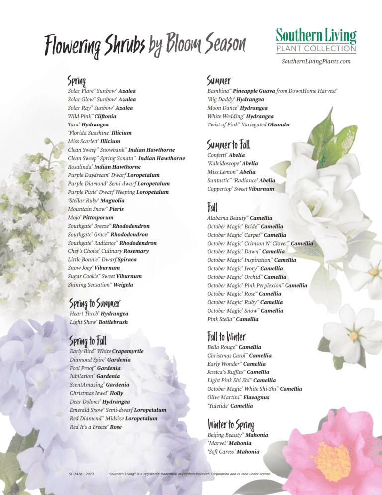 Four Season Gardening: Download the Blooming Shrub Guide