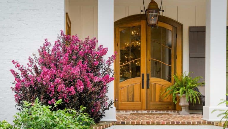 Delta Fusion™ Crapemyrtle - Southern Living Plants