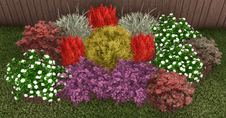 Evergreen Structure Garden Plan | Southern Living + Plant By Number