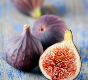 'Little Miss Figgy’ Dwarf Fig