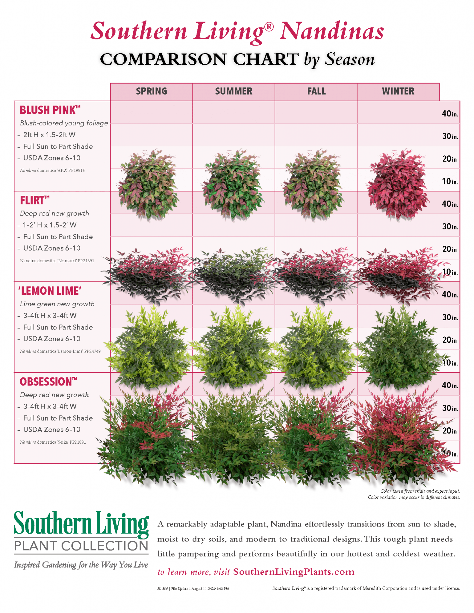 Plant Comparison Charts - Southern Living Plants