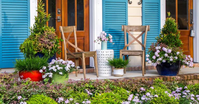 Why Choose Plants from Southern Living® Plant Collection?