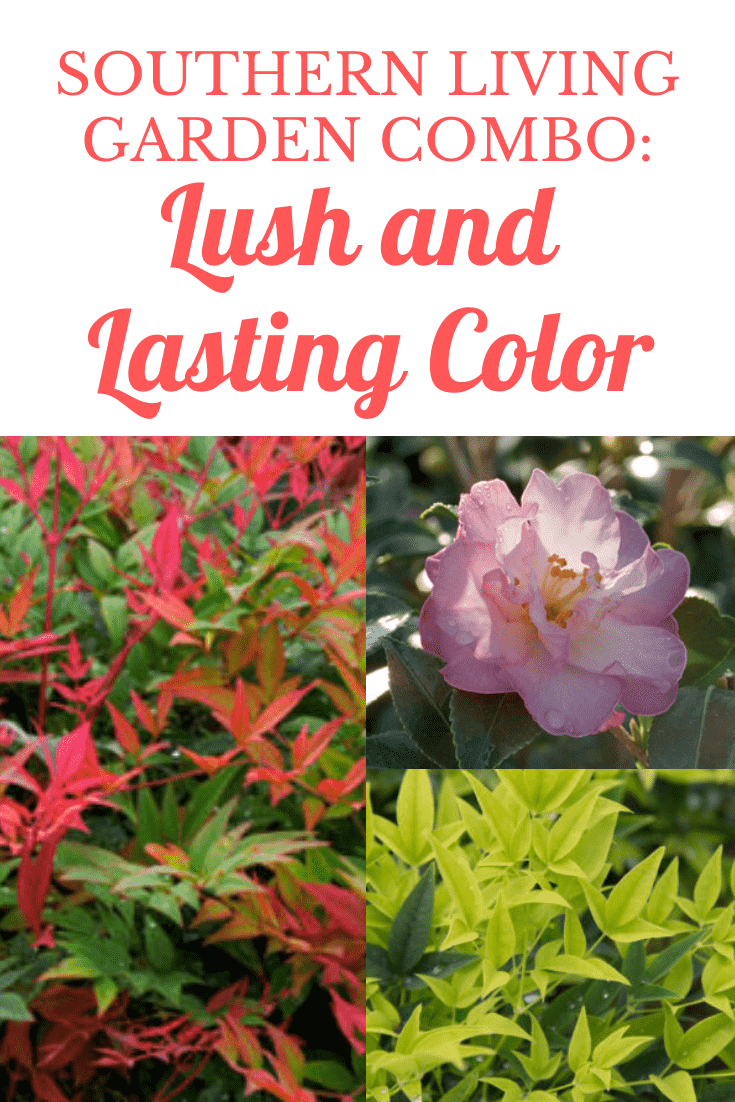 Plant Combinations: Lush and Lasting Late-Season Color