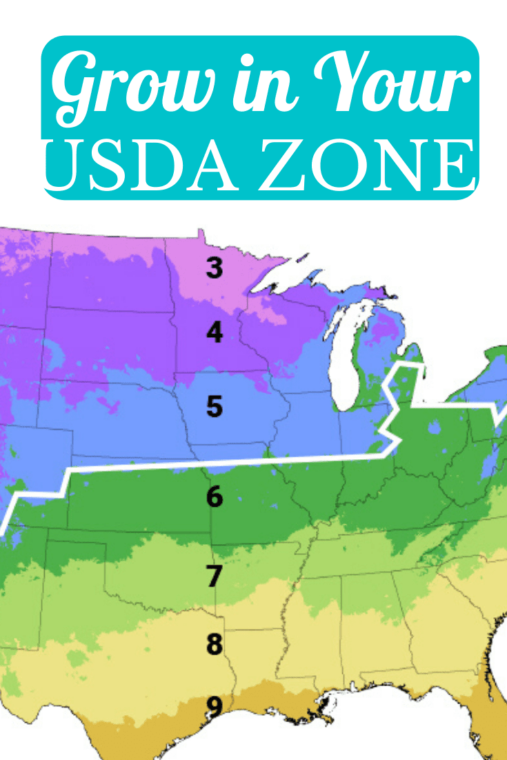 Grow In Your Zone - Southern Living Plants