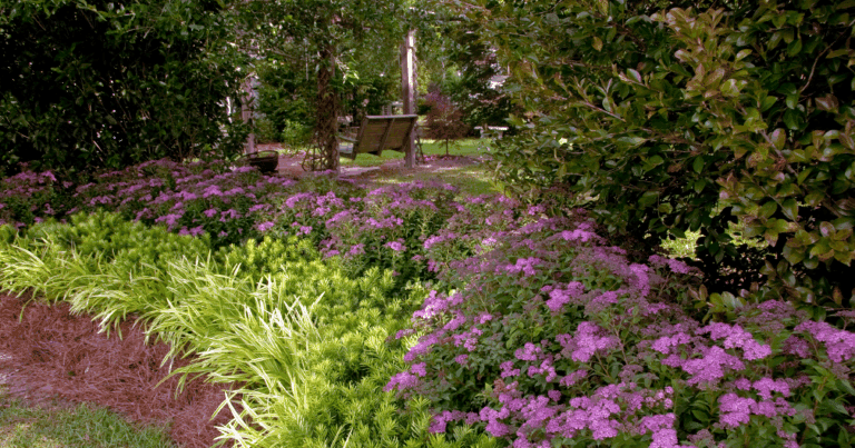 From Wind to Waves: 7 Plants That Can Weather (Most!) Hurricanes ...