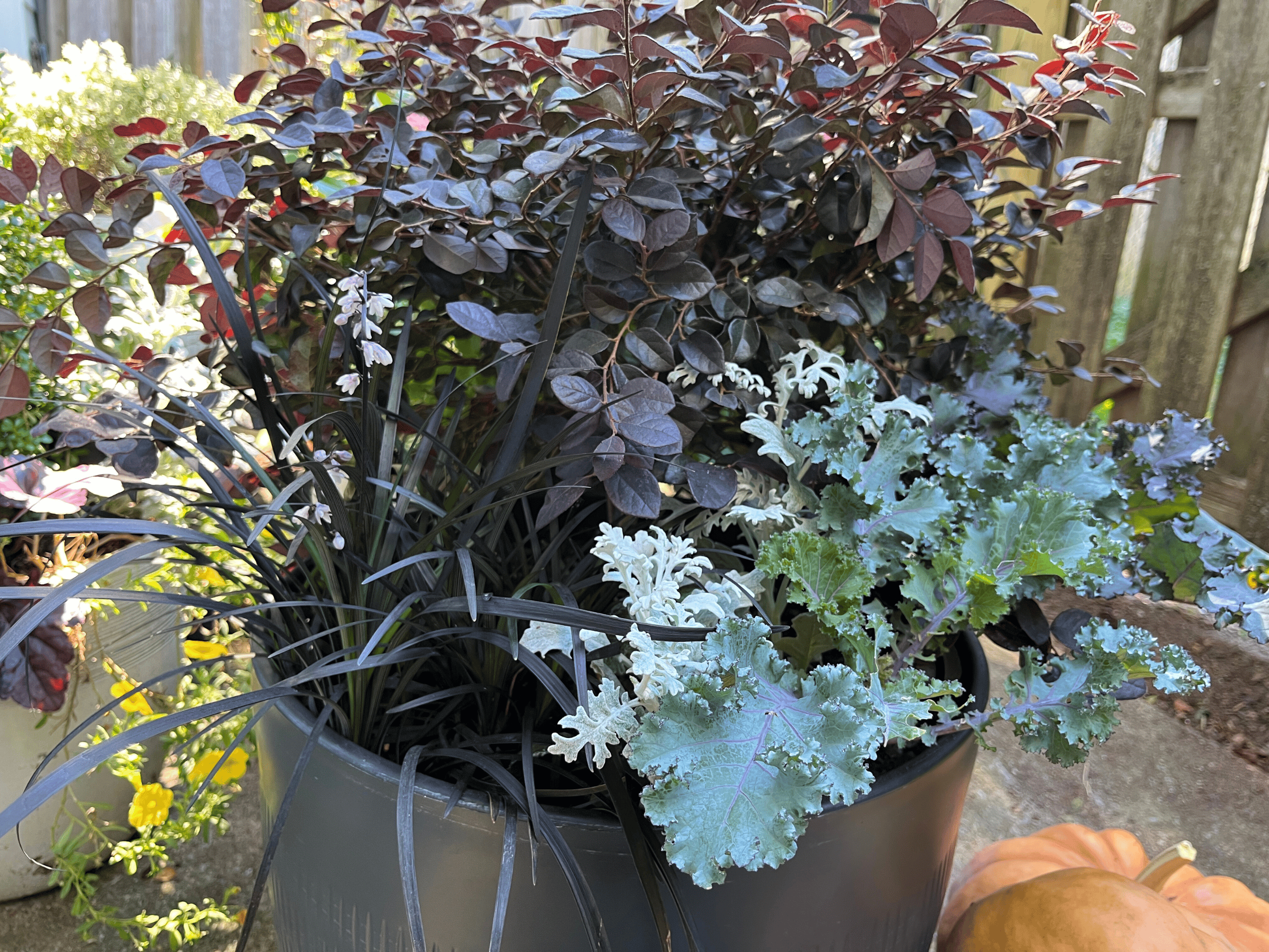 How to Grow a Goth Garden With Southern Charm