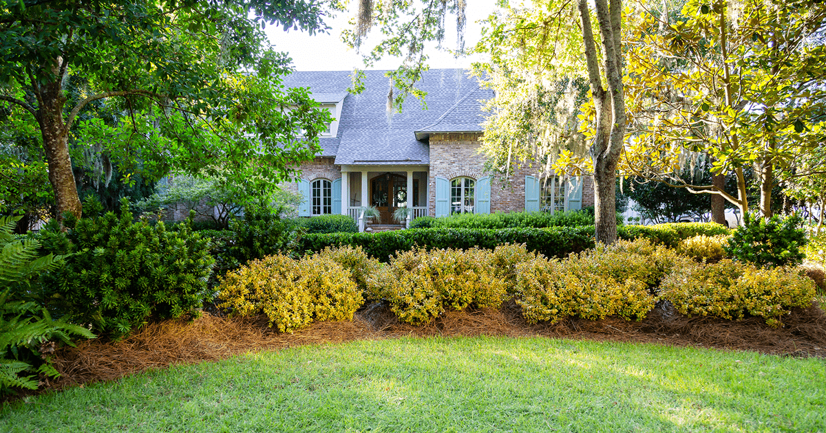 Grumpy s Top Ten Plants Southern Living Plants