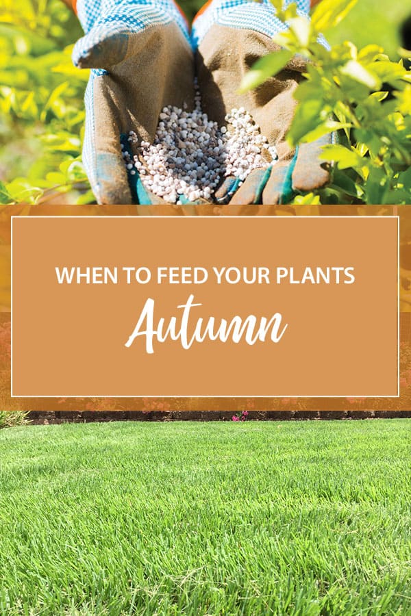 Time it Right: Late Winter to Early Spring Fertilizer