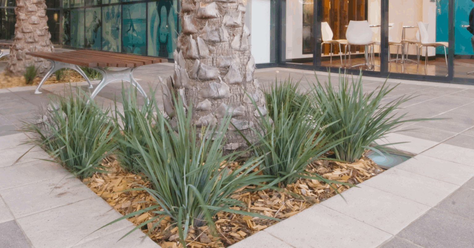 From Wind to Waves: 7 Plants That Can Weather (Most!) Hurricanes ...