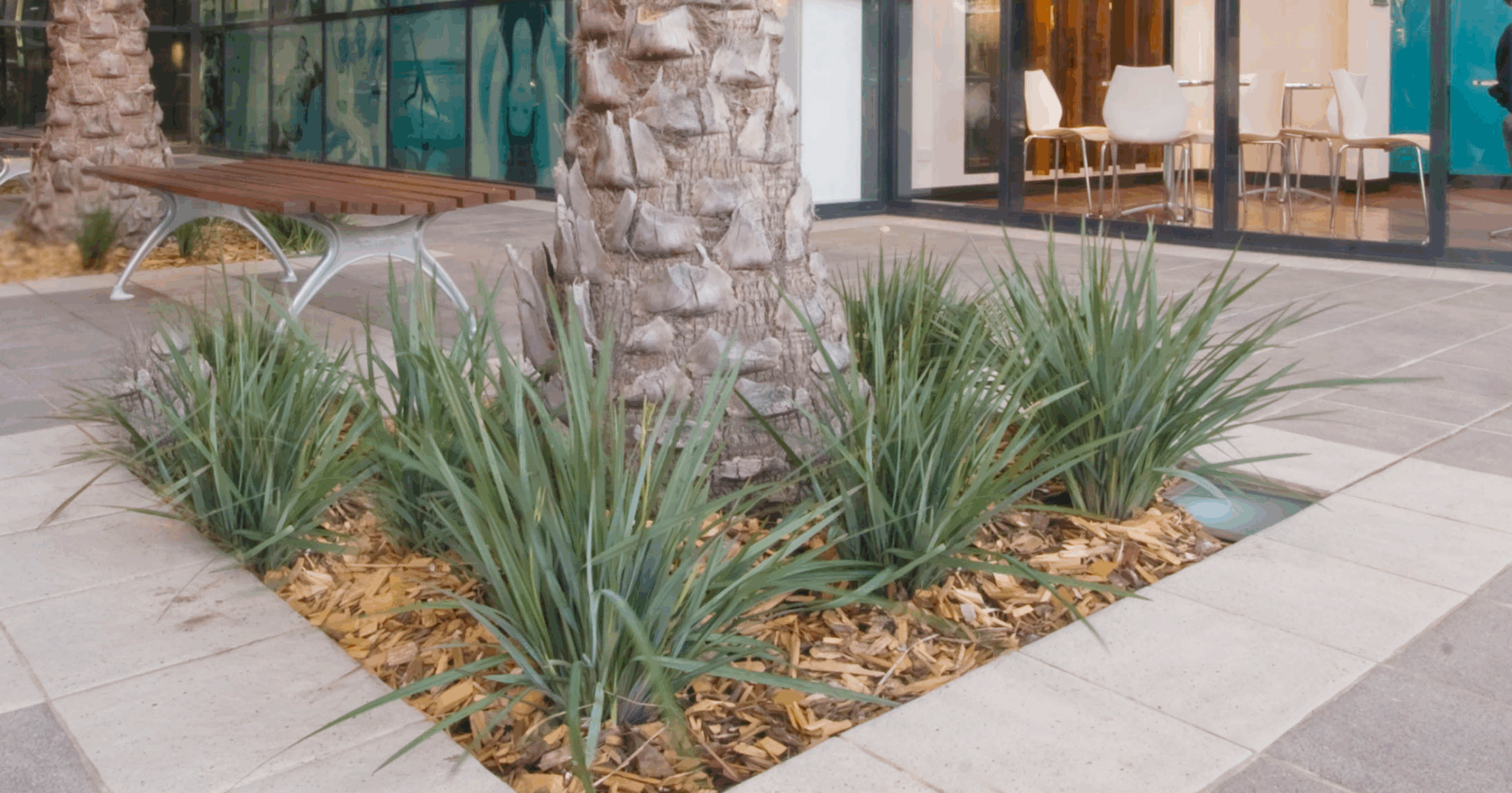 From Wind to Waves: 7 Plants That Can Weather (Most!) Hurricanes ...