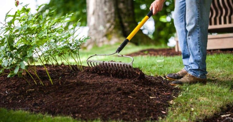 When and Where to Apply Mulch for Cold Weather